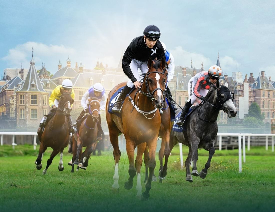 11 horses will compete for the title of President's Cup for Arabian ...
