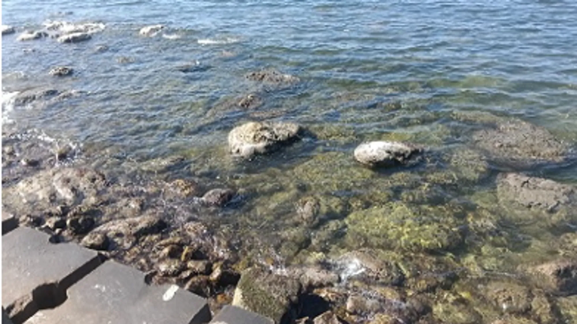 What is the truth about the sandy beach and the "tsunami" in Alexandria?