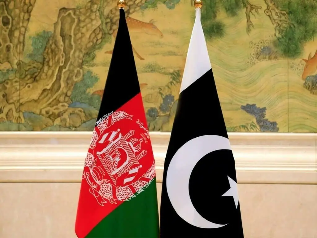 Pakistani Foreign Ministry: Taliban elements are trying to incite ...