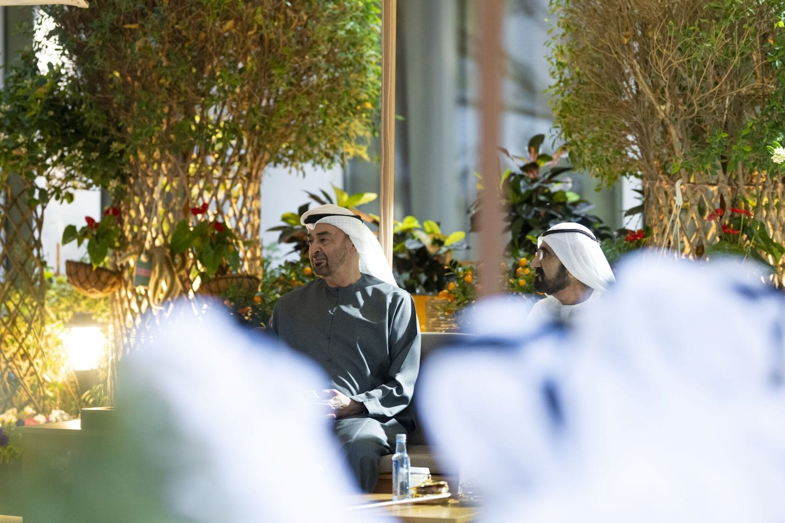 During their meeting at Al Marmoum Rest House in Dubai.. The President ...