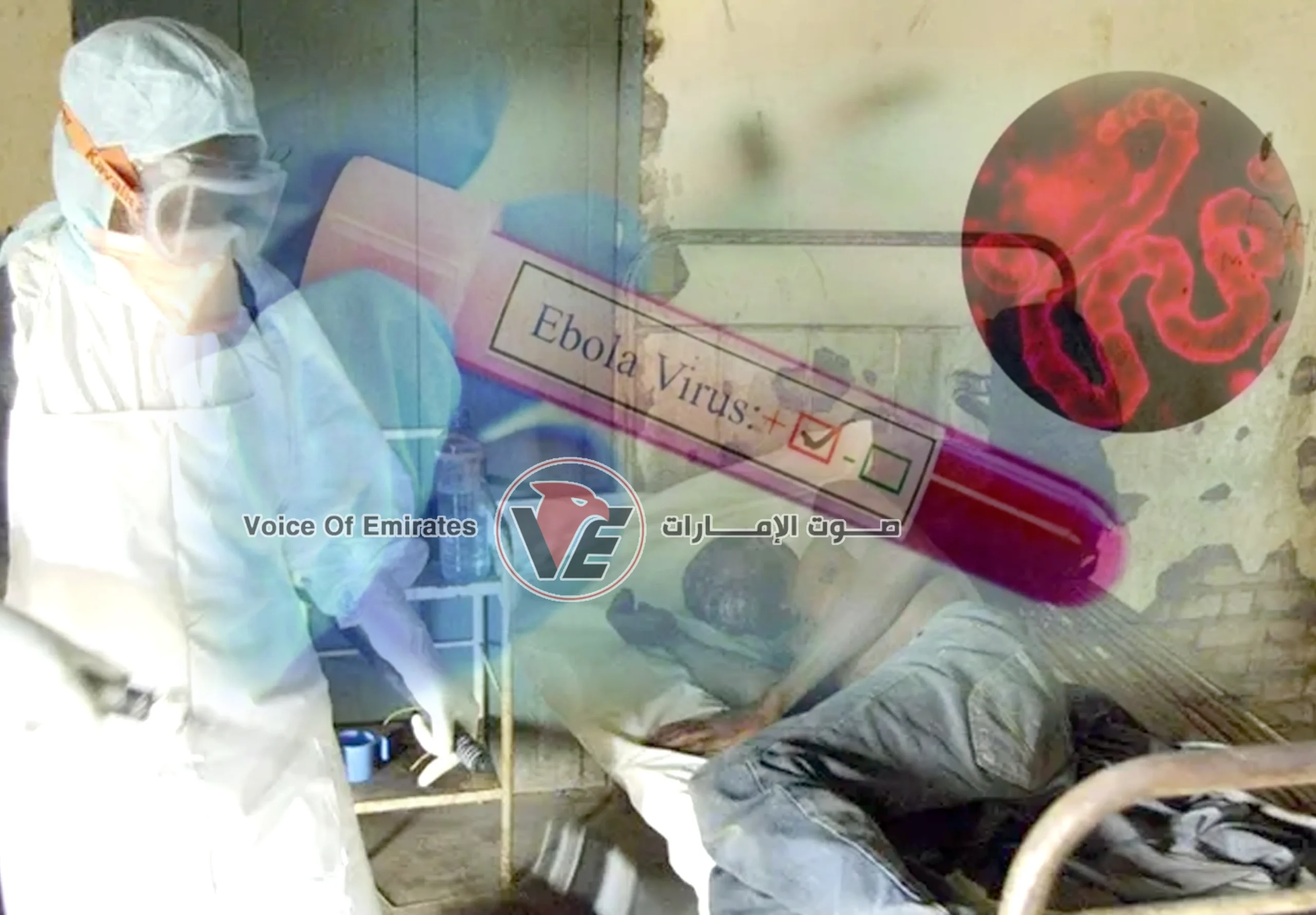 Official reports: 263 confirmed cases and 43 deaths from Ebola in Congo ...